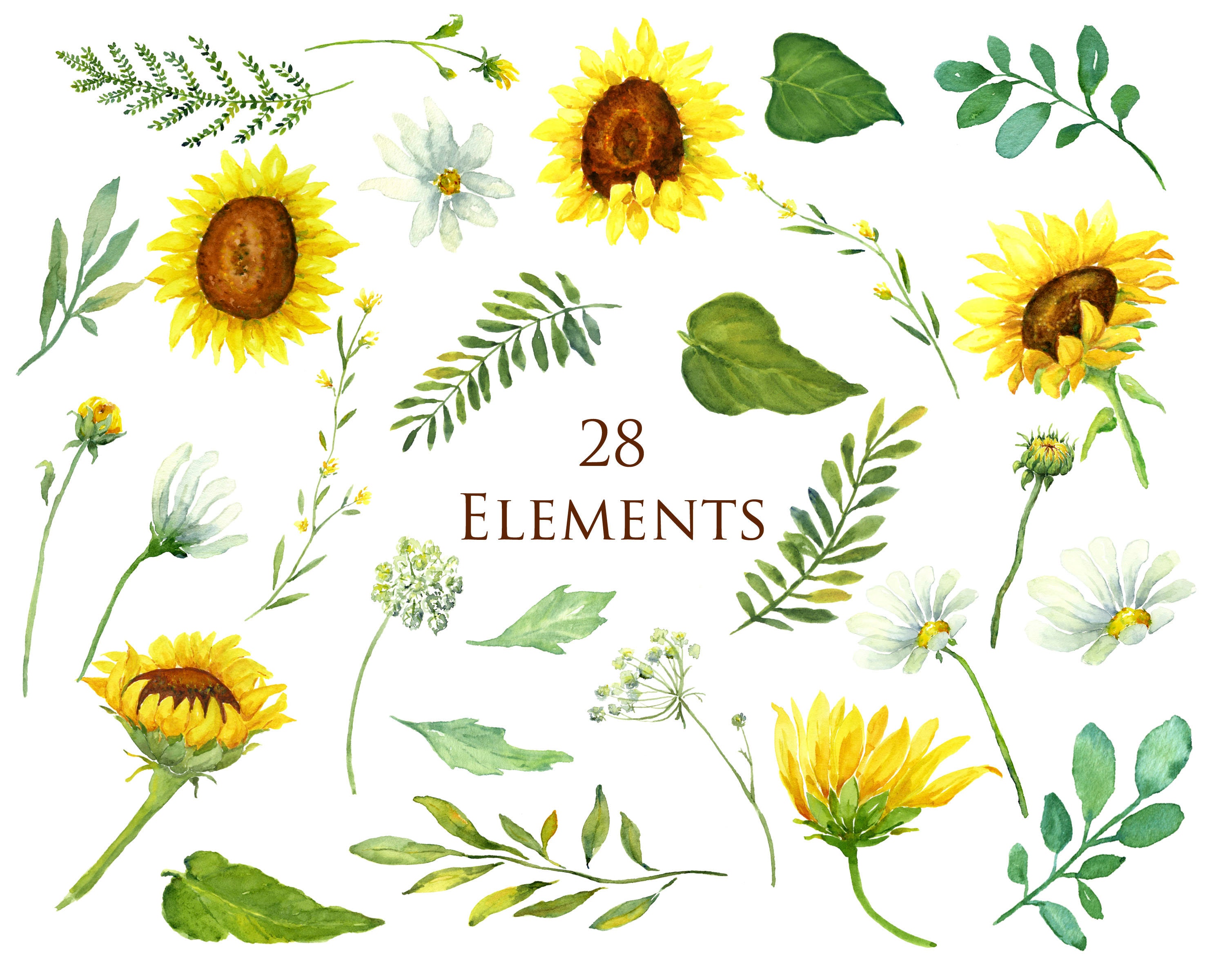 Sunflowers Watercolor Clip Art Set 28 Individual Elements - Etsy