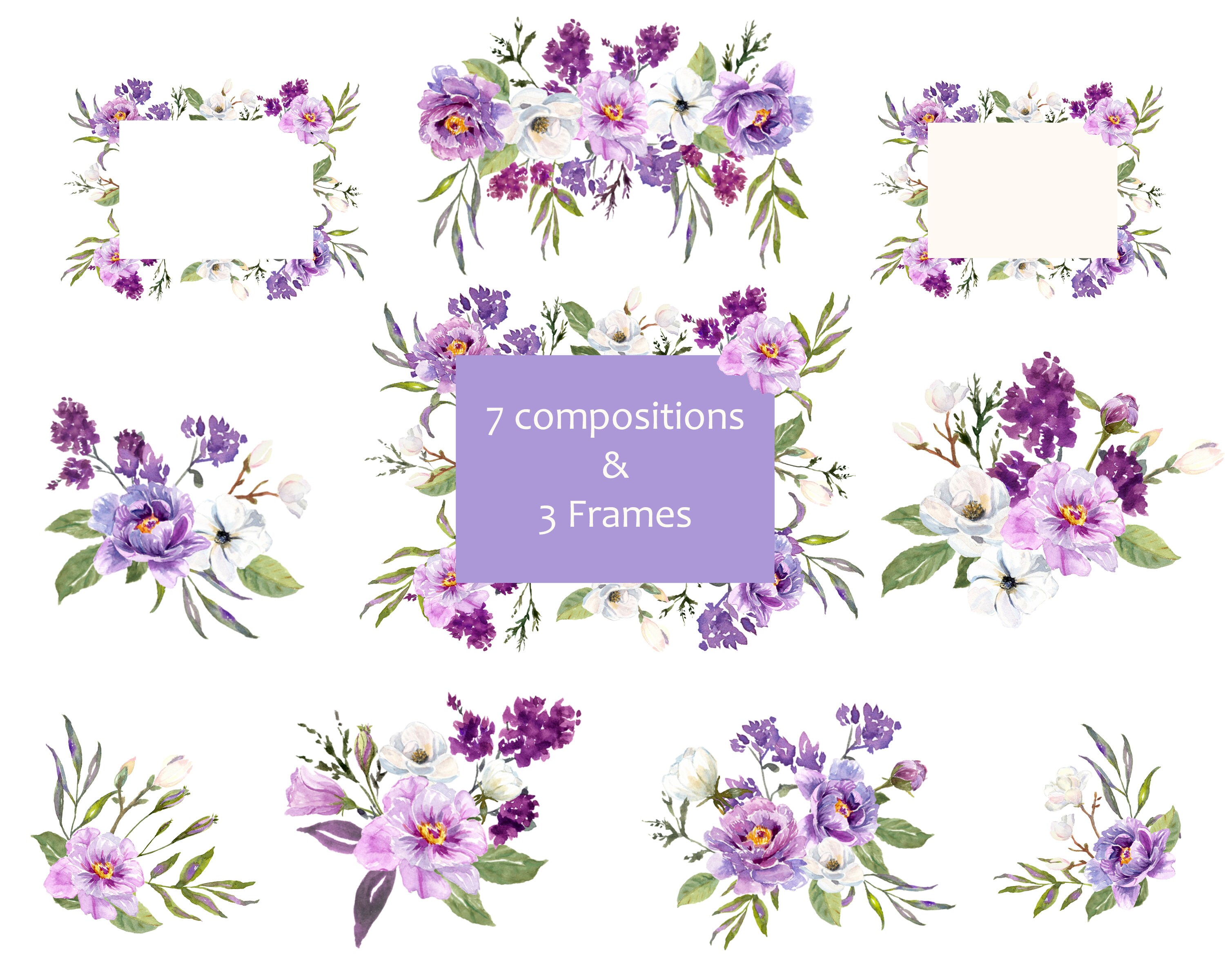 Floral Frames and Flowers, Purple and White Floral Watercolor Collection, Peonies and Magnolias ...