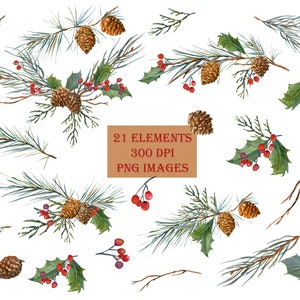 Winter Greenery Clip Art, Pine Clipart, Christmas Greens, Leaves ...