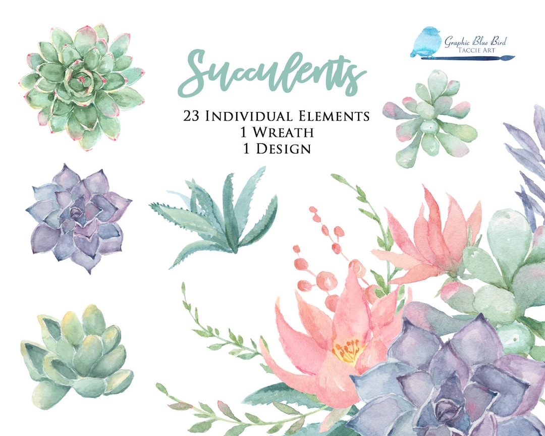 Watercolor Succulents, Individual Elements Set, Succulent Wreath ...