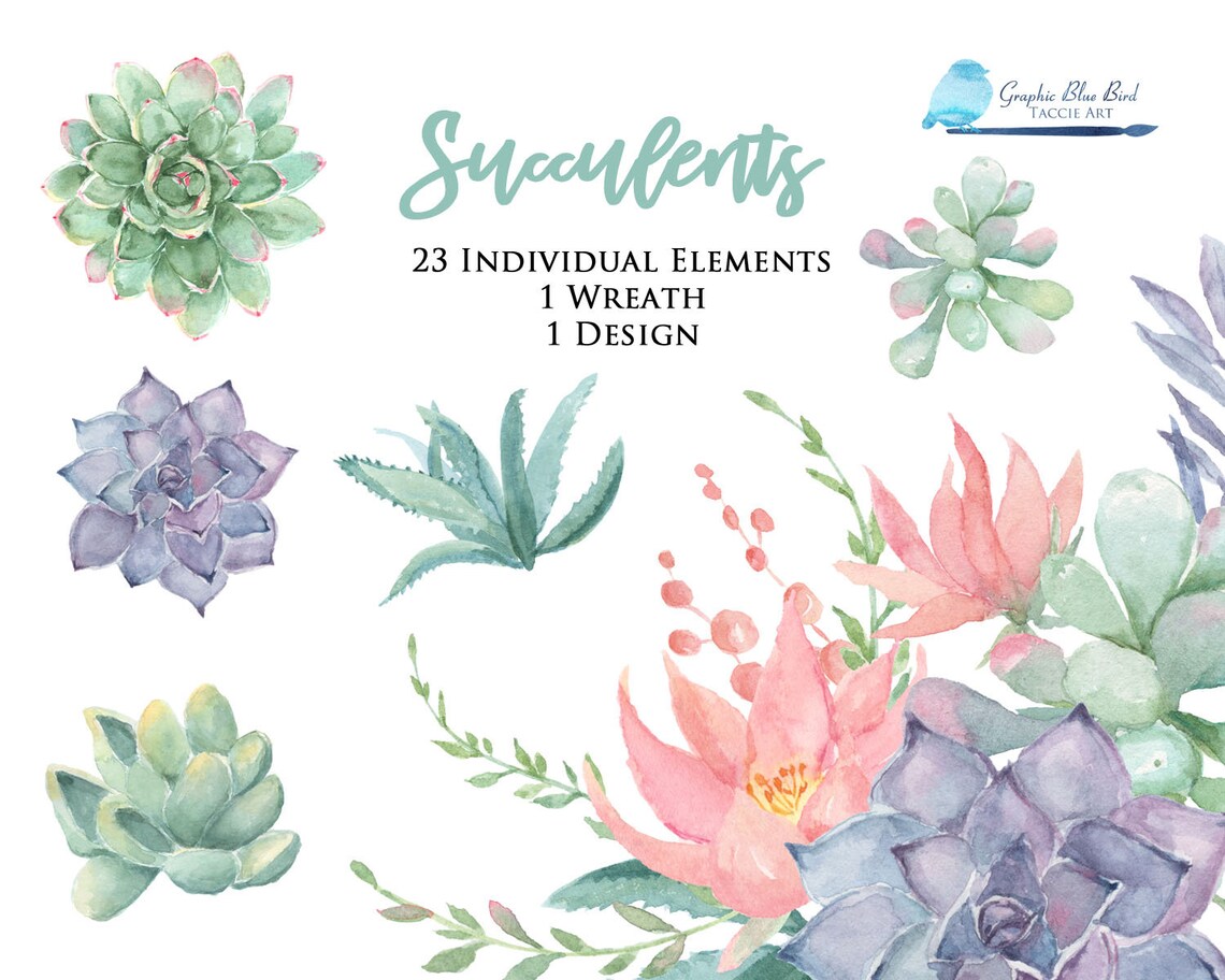 Watercolor Succulents Individual Elements Set Succulent - Etsy