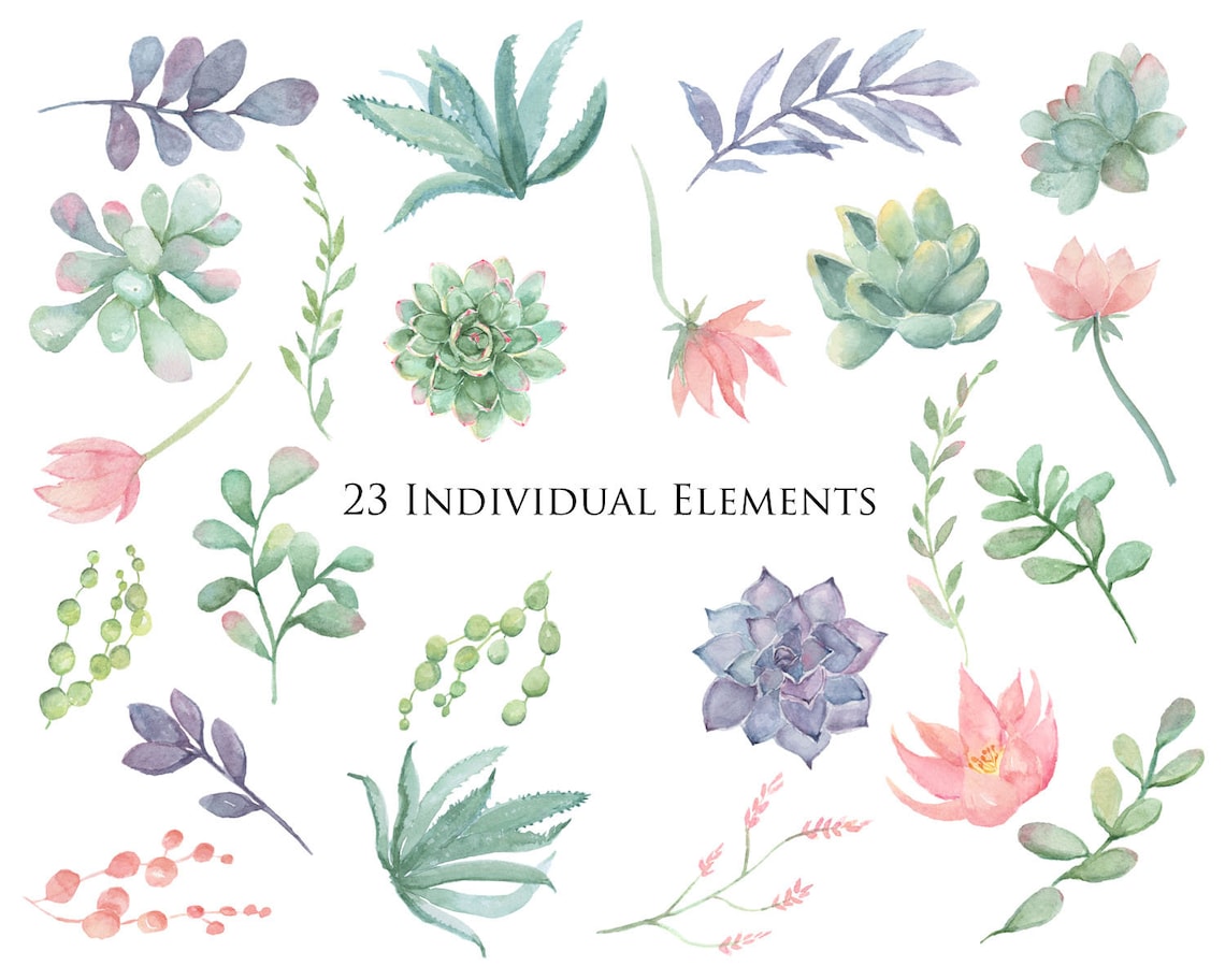 Watercolor Succulents Individual Elements Set Succulent - Etsy