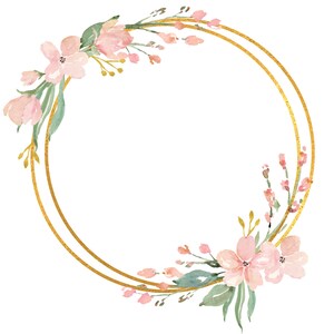 Pink and Gold Floral Frames, Geometric Gold Frames With Blush Pink ...