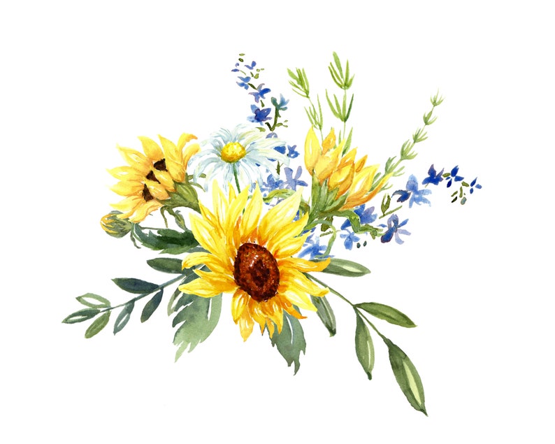 Sunflowers Watercolor Clip Art Includes Sunflowers Daisies - Etsy UK