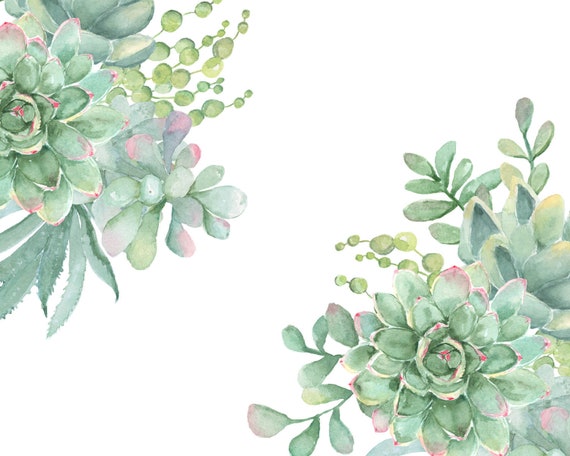 Create a Cute Succulent Border for Your Shed