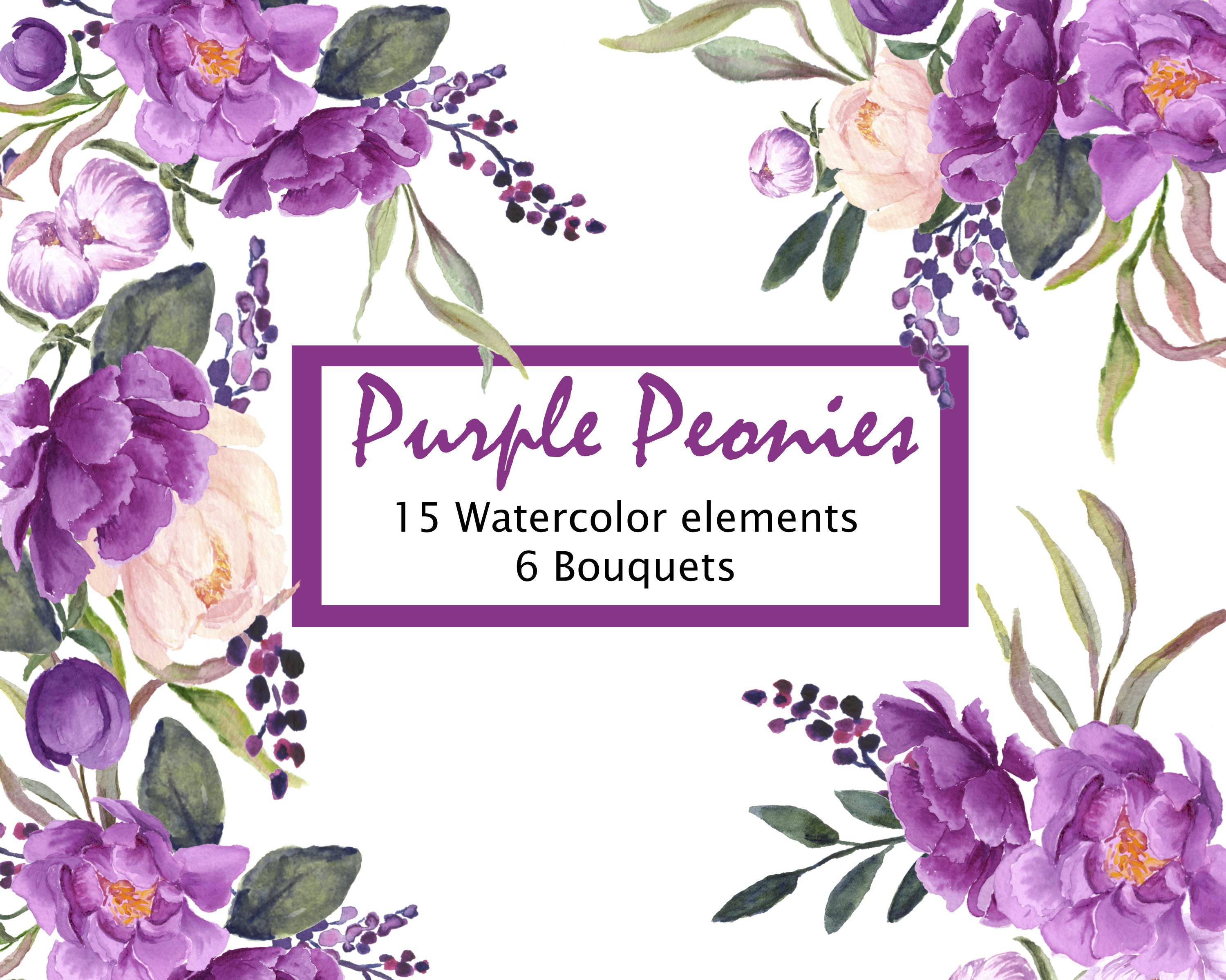 Purple Peonies Hand Painted Floral Clip Art, Purple and Blush Pink ...