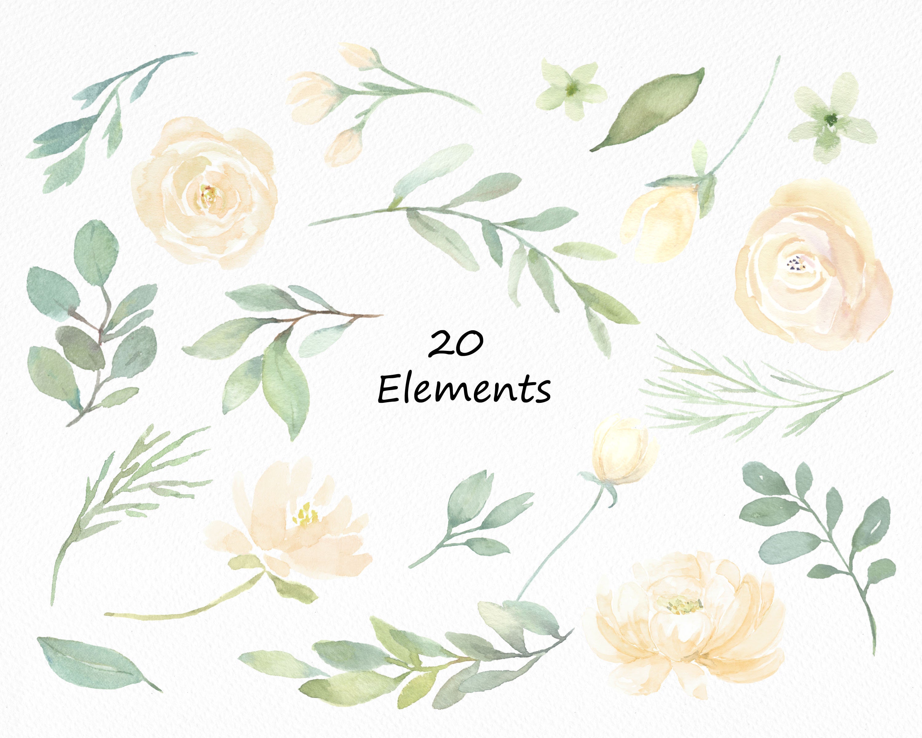 White Flowers, Individual Elements, Greenery, Eucalyptus, White Rose ...