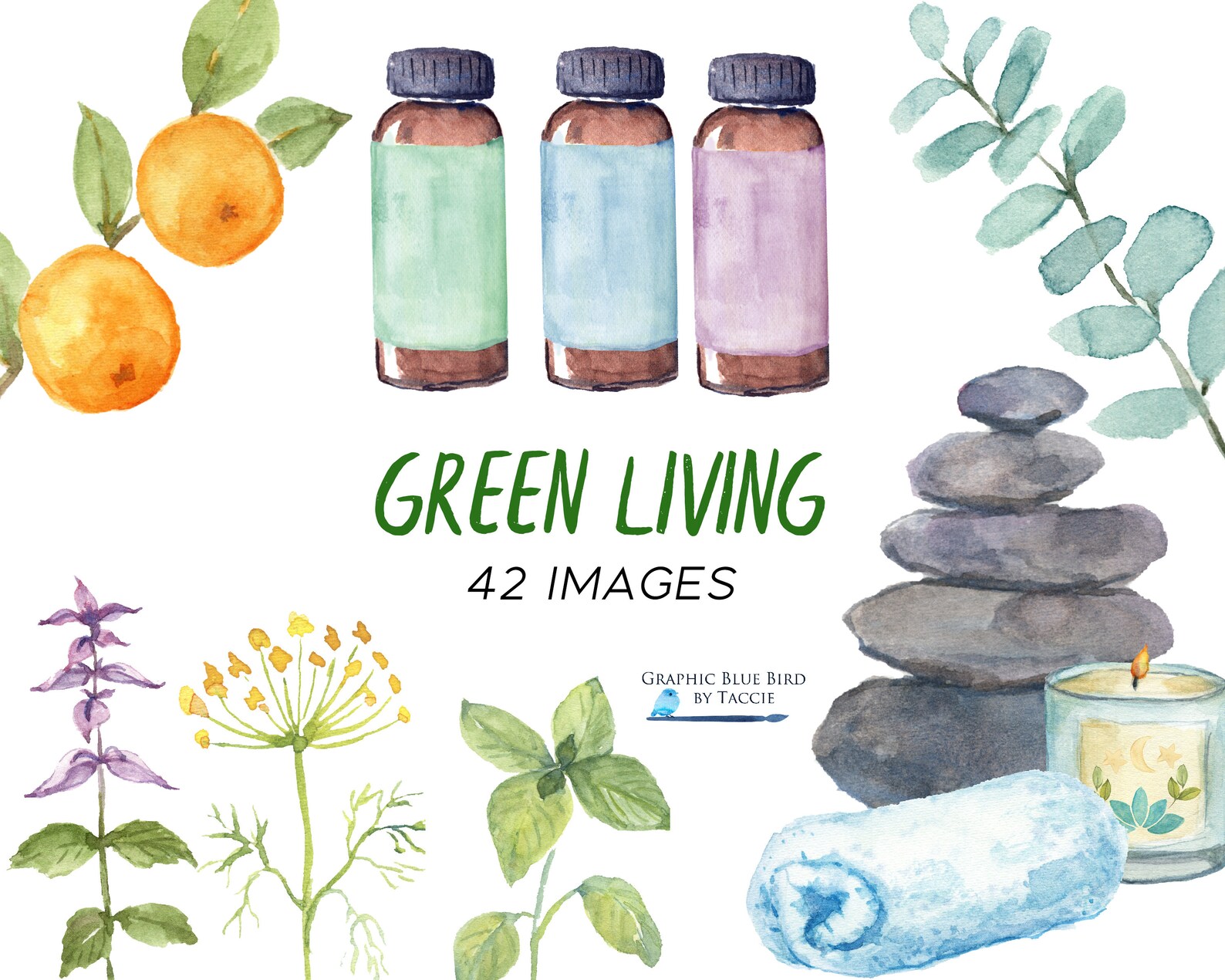 Essential Oils & Aromatherapy Illustrations Patchouli Clary - Etsy