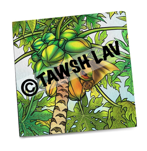 Polynesian Papaya Bat Flying Fox Samoan Pea Art on 8x8 - Etsy Ireland
