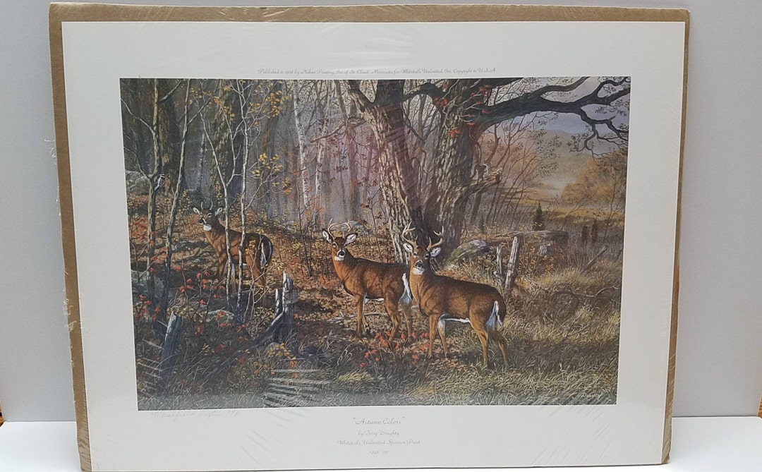 Vintage Autumn Colors by Terry Doughty 64/80 - Still in Original Wrap ...