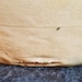 Vintage Red Wing 10-gallon Crock, Large Wing, Farmhouse Decor - Etsy