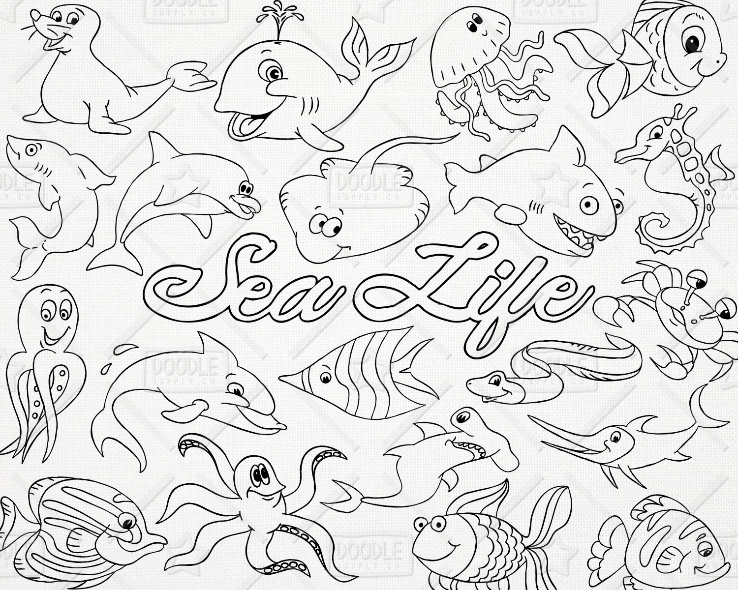 Doodle Sea Life Clipart Vector Pack, Ocean Clipart, Sea Animals ...