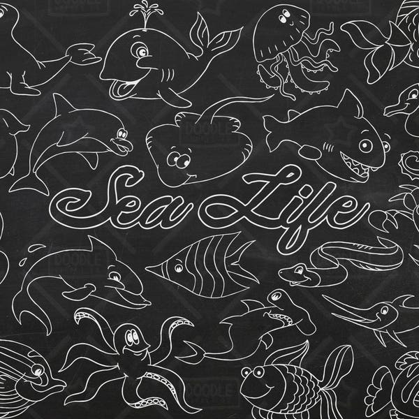 Animal Chalkboard - Etsy
