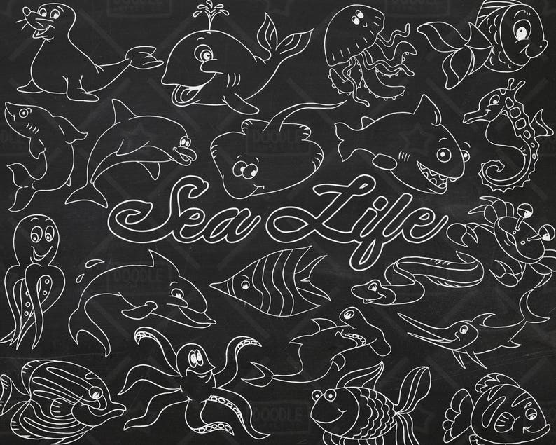 Chalkboard Sea Life Vector Pack, Ocean Clipart, Sea Animals, Aquatic ...