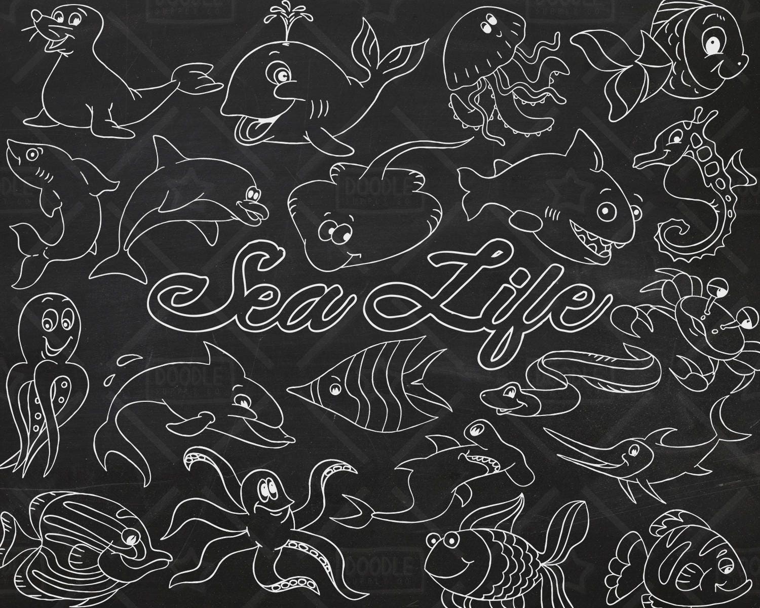 Chalkboard Sea Life Vector Pack, Ocean Clipart, Sea Animals, Aquatic ...