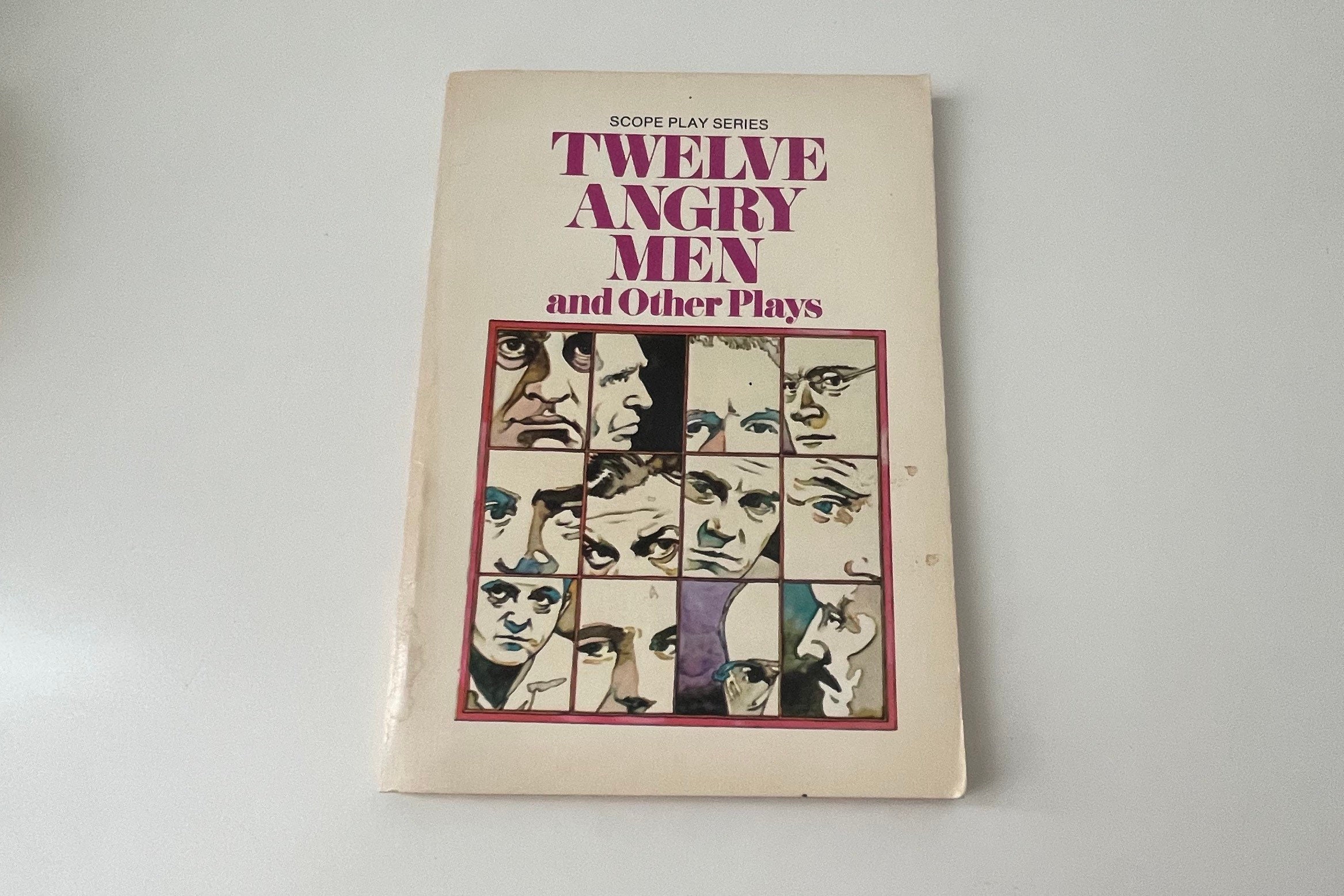 12 angry men book author - unbda