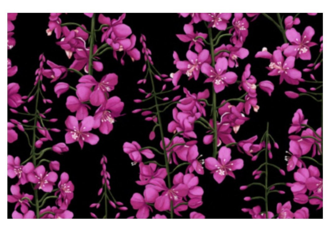 Fireweed Fabric in Black/pink Fireweed Fabric - Etsy