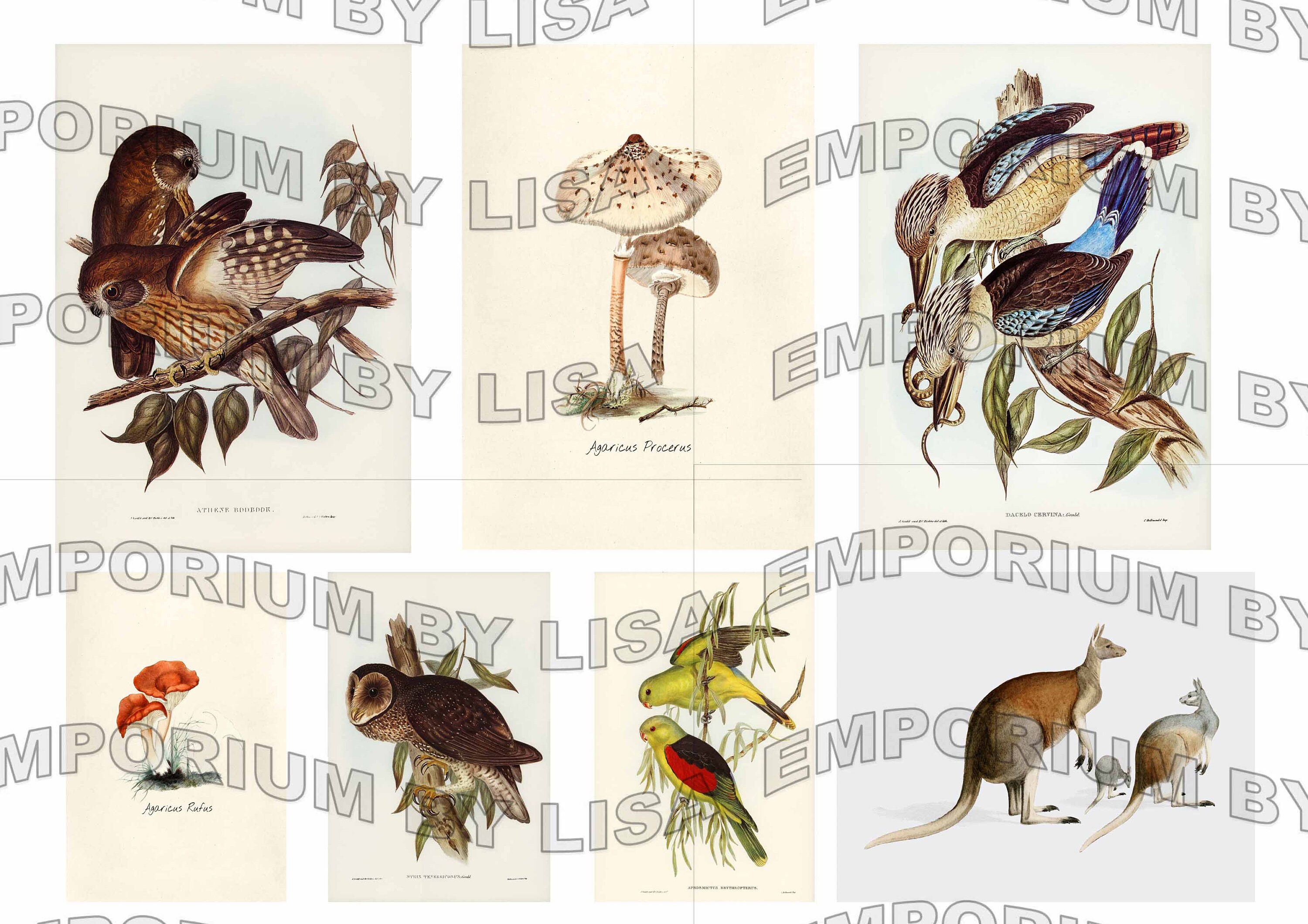 WOODLAND BUSH JOURNAL - Etsy Australia