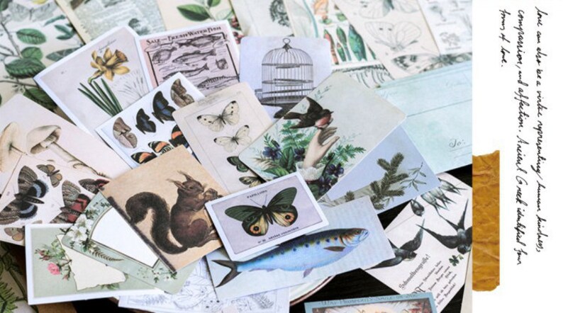 Planner Sticker kit bullet journal stickers stickers green | Etsy