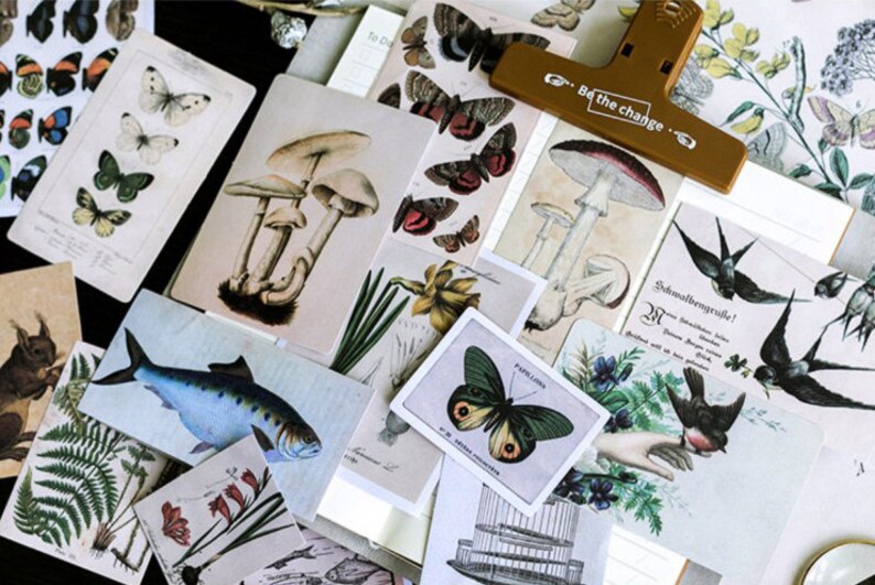 Planner Sticker kit bullet journal stickers stickers green | Etsy