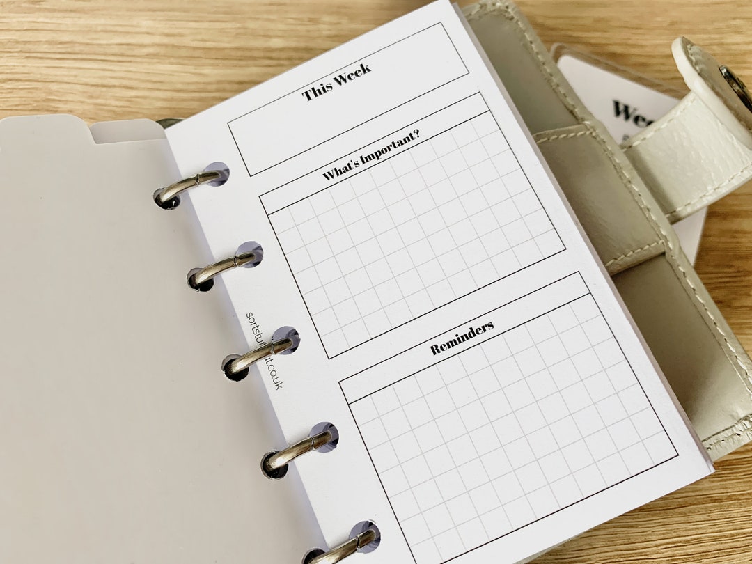 Detailed Weekly Foldout Inserts for MINI PLANNERS - Printed & Punched ...