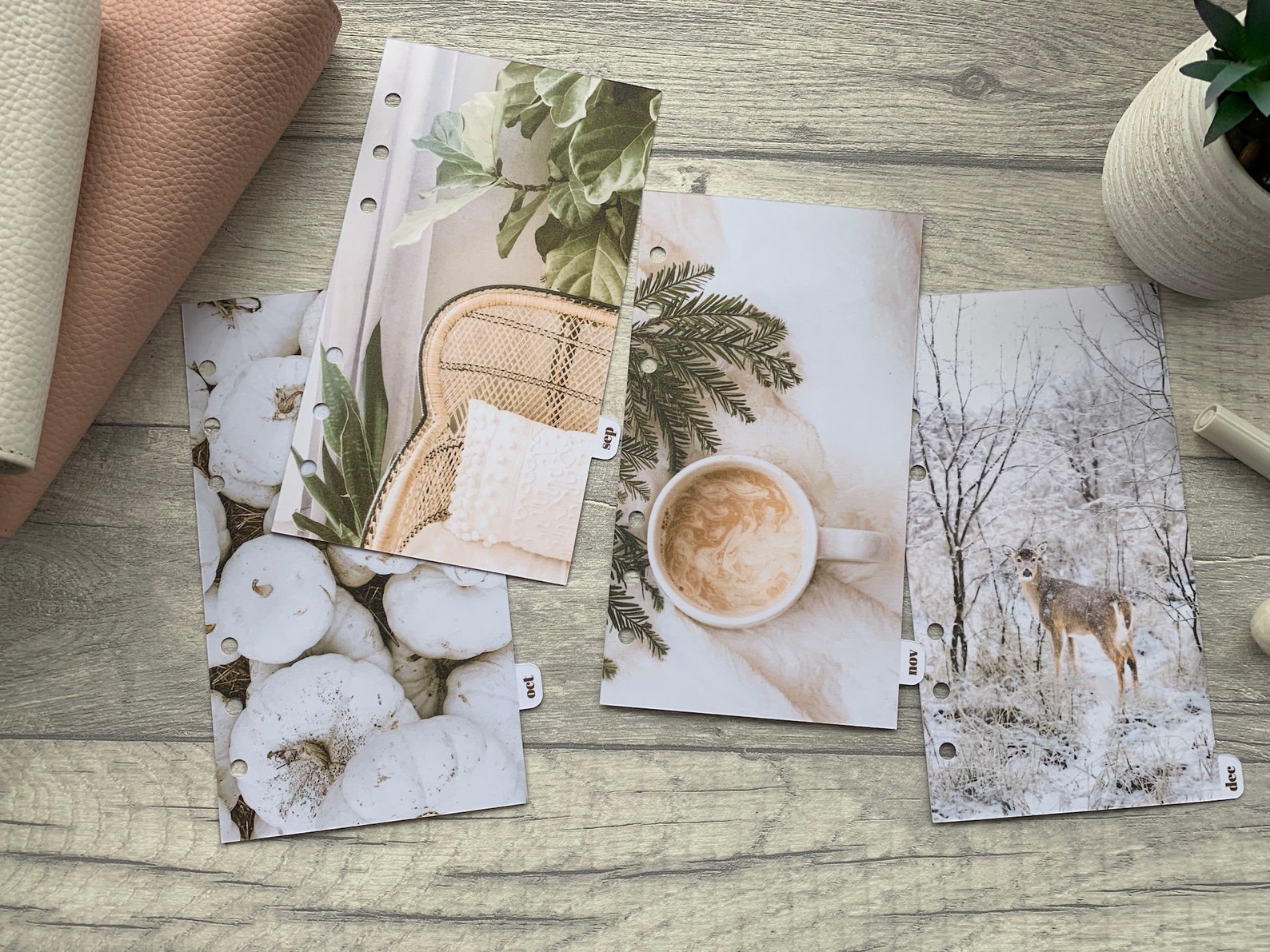 Monthly Dividers Choose Your Size Organise Your Planner - Etsy UK