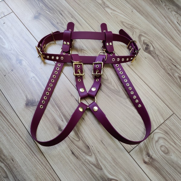 Chastity Strap on Harness - Etsy