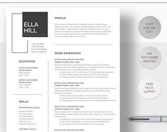 Professional Resume Template/ Modern Resume/ Two Page Resume Template ...