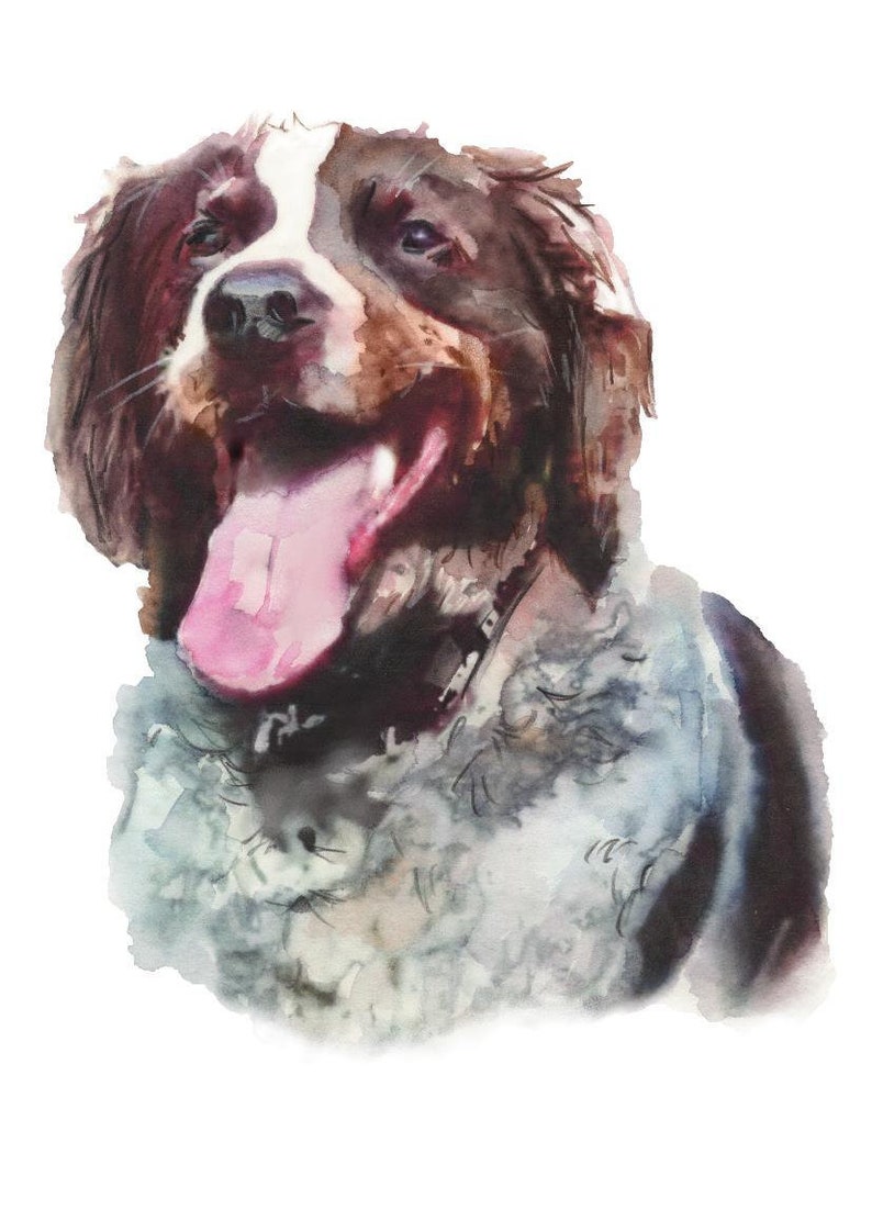 Custom Dog Portrait From Photo Custom Dog Portrait Collie - Etsy