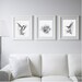 Gray Hummingbirds Set 3 Prints, Black and White Birds Watercolor ...
