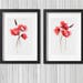 Poppy Set 2 Prints Floral Wall Art Illustration Home Decor - Etsy