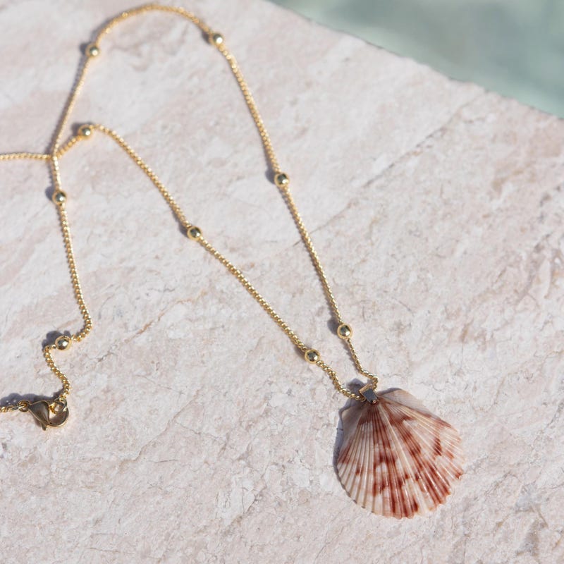 Real Seashell Necklace - Etsy