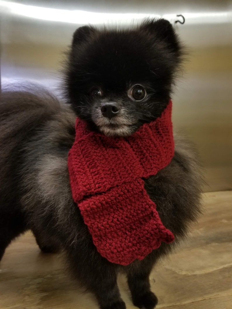 100% Alpaca Handmade Dog Scarf Multiple Colors | Etsy