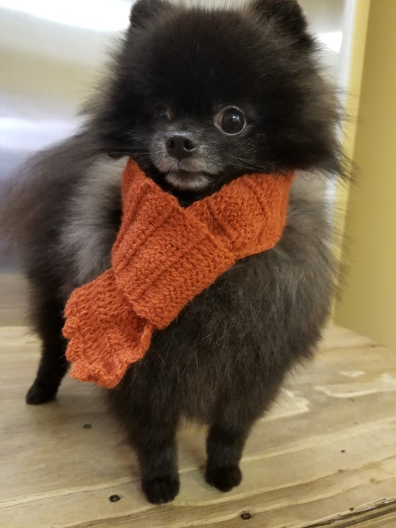 100% Alpaca Handmade Dog Scarf Multiple Colors | Etsy