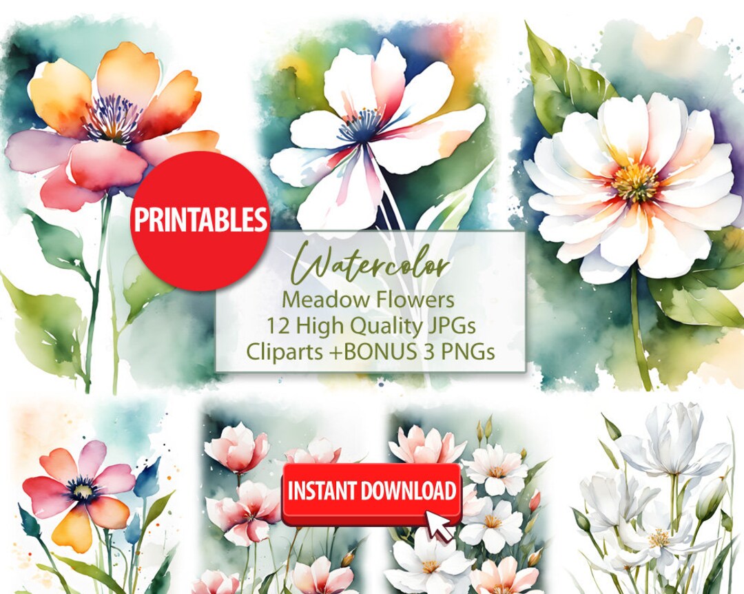 Meadow Flowers Cliparts - 12 High Quality Jpgs Instant Digital Download ...