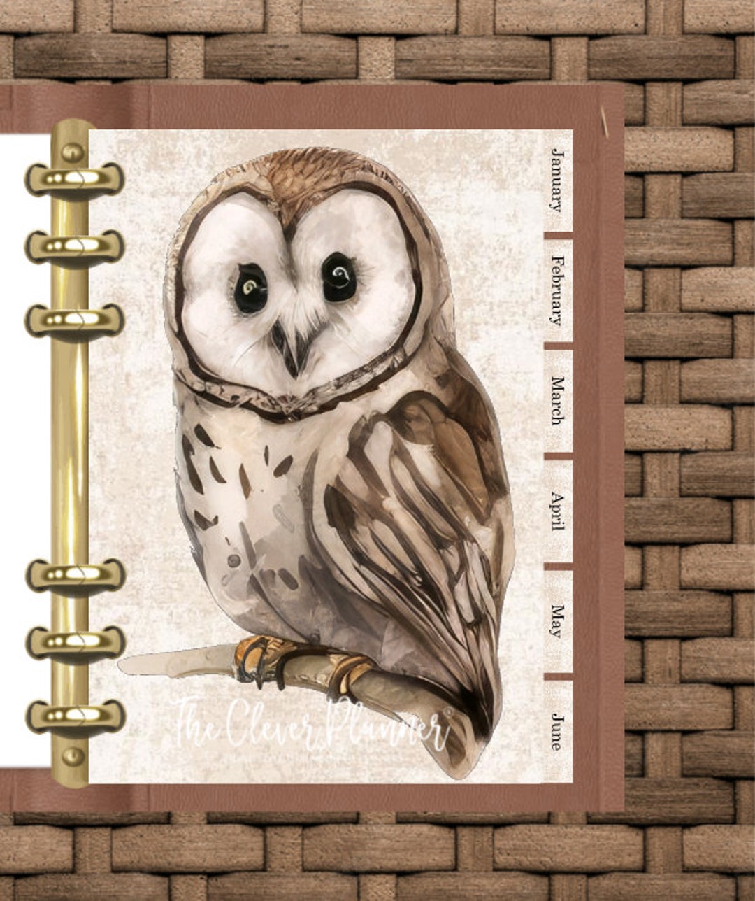 12 Month Planner Dashboard Tab Divider Set for Your Pm Mm Gm Agendas ...