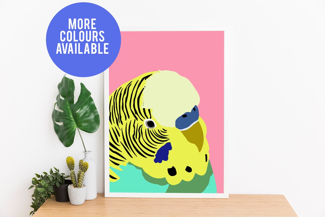 Budgie Art Print, Budgerigar Home Decor Print, A4A3A2, Pet Bird Wall ...