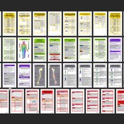 Range of Motion Chart for Rehabilitation Occupational Therapy and OT ...