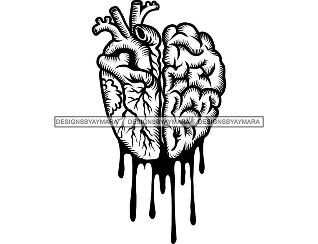 Human Heart Brain Cerebrum Dripping Blood Neural Organ Cognitive Center ...