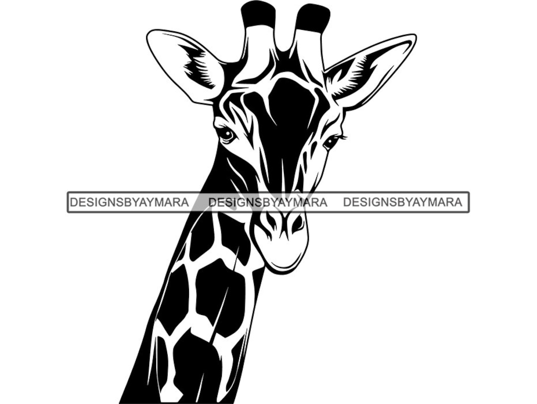 Giraffe Animal Africa Long Neck Safari Bizarre Staring Tall High .SVG ...