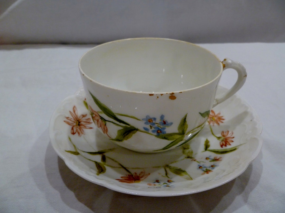 Victorian Teacup & Saucer Hand Painted With Flowers by Ms. Rice in 1893 ...