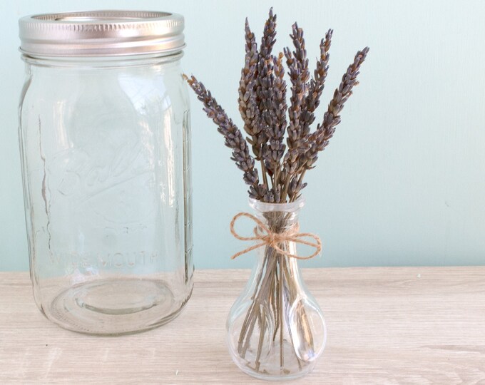 Dried Lavender Flowers in SMALL Bud Vase / Preserved Flowers / - Etsy
