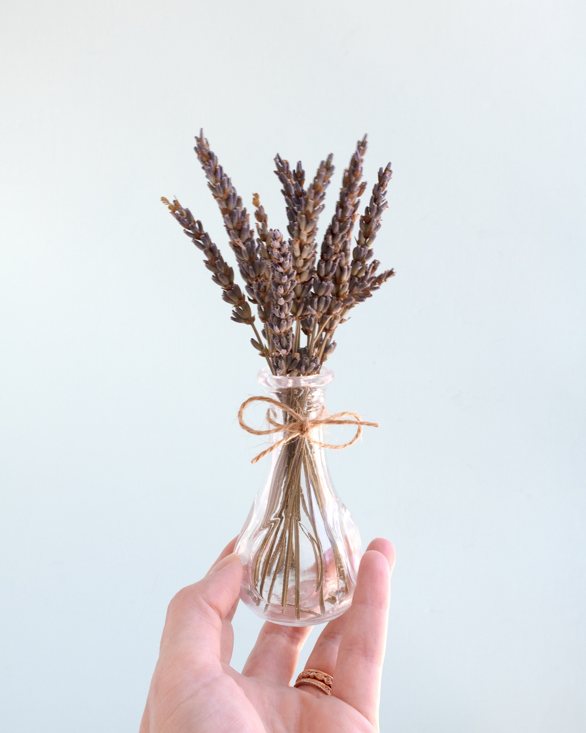Dried Lavender Flowers In Small Bud Vase | Etsy