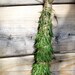 Rosemary Bundles - Etsy