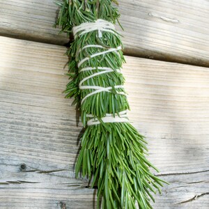 Rosemary Bundles - Etsy