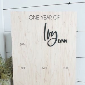 One Year of Baby First Birthday Sign First Birthday Display Milestones ...