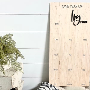 One Year of Baby First Birthday Sign First Birthday Display Milestones ...