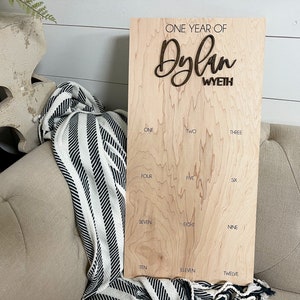 One Year of Baby First Birthday Sign First Birthday Display Milestones ...