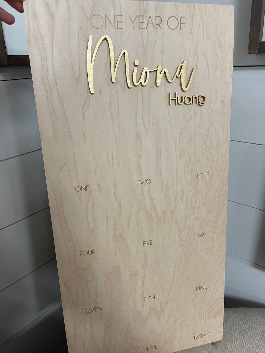 One Year of Baby | First Birthday Sign | First Birthday Display ...