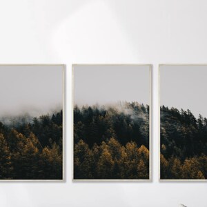 Set of 3 Nature Tree Art Set of 3 Trees Wall Art Landscape Print Set ...